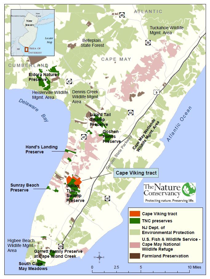 Collaborating to Enlarge Cape May National Wildlife Refuge - LightHawk