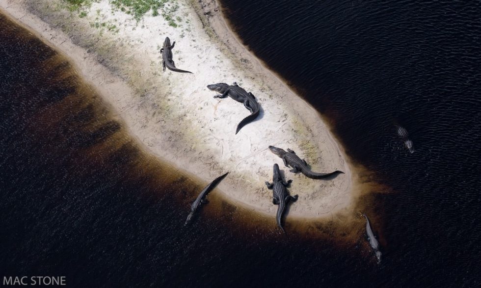 LightHawk - Enhancing Conservation Action Through Aviation