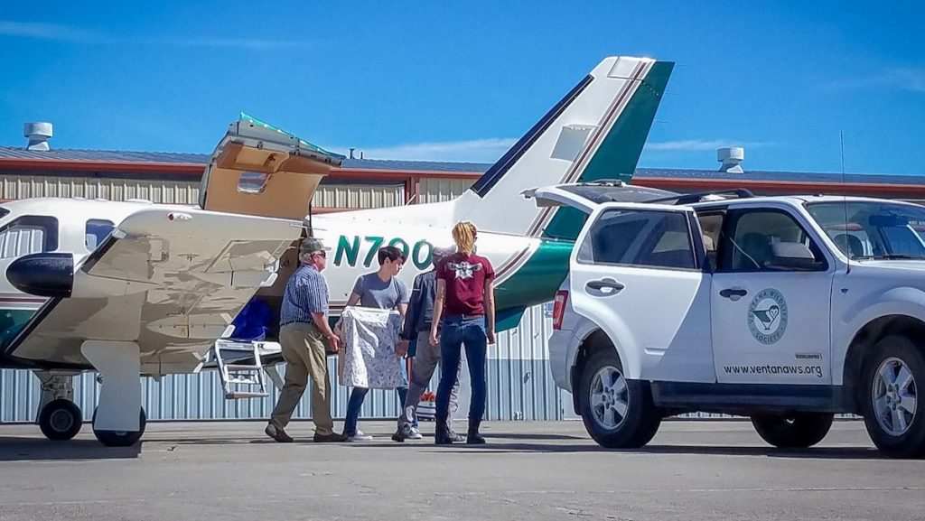 LightHawk - Enhancing Conservation Action Through Aviation